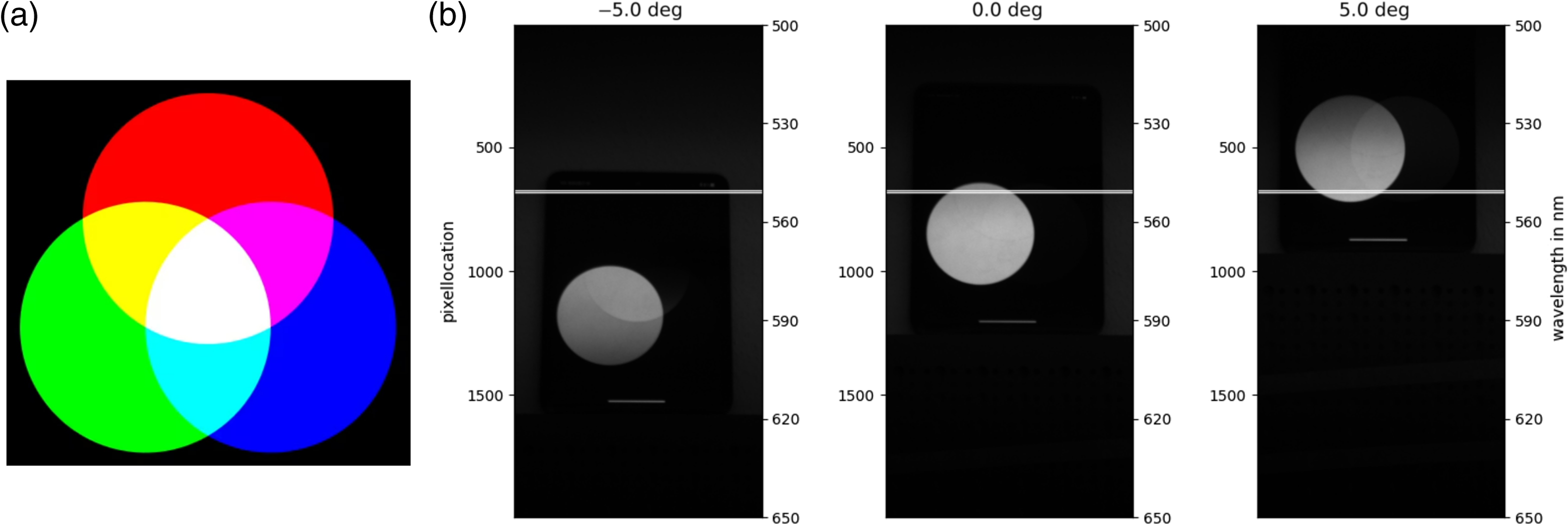 Hyperspectral imaging using a custom-designed holographic optical ...